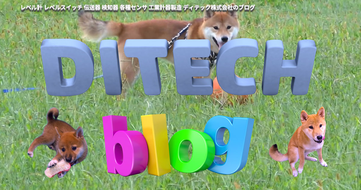 DITECH'S BLOG